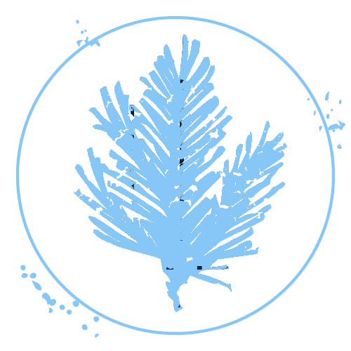 Learn About Your Preferred Terpene Profile